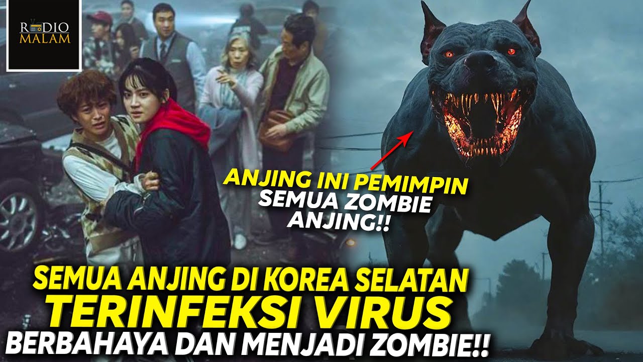 SEMUA ANJING ZOMBIE DI KOREA MENGAMUK - Alur Film PROJECT SILENCE (2024 ...