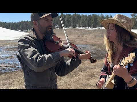 Fiddle and Bow - The Robin Davis Duo - YouTube