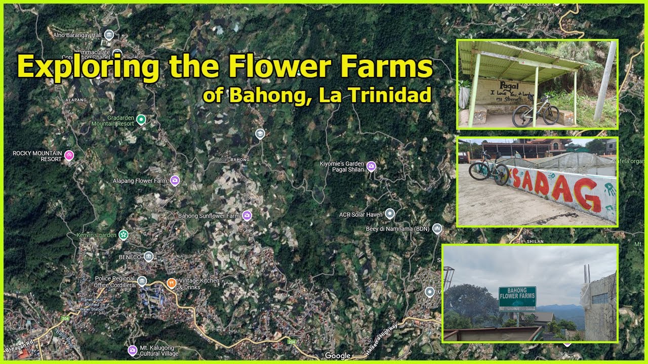 Solo Rideout To Explore the Flower Farms of Bahong, La Trinidad ...