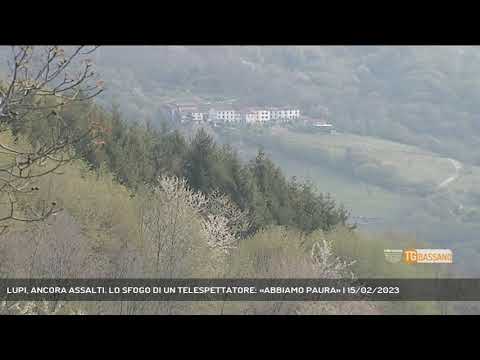 LUPI, ANCORA ASSALTI. LO SFOGO DI UN TELESPETTATORE: «ABBIAMO PAURA» | 15/02/2023