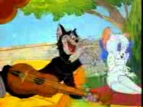 Tom jerry 3gp (Real Comedy)