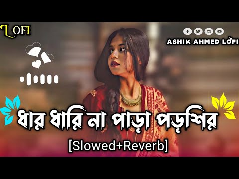 ধার ধারি না পাড়া পড়শির গান | Dhar Dharina Para Porshi [Slowed & Reverb] | Tiktok Viral Gan