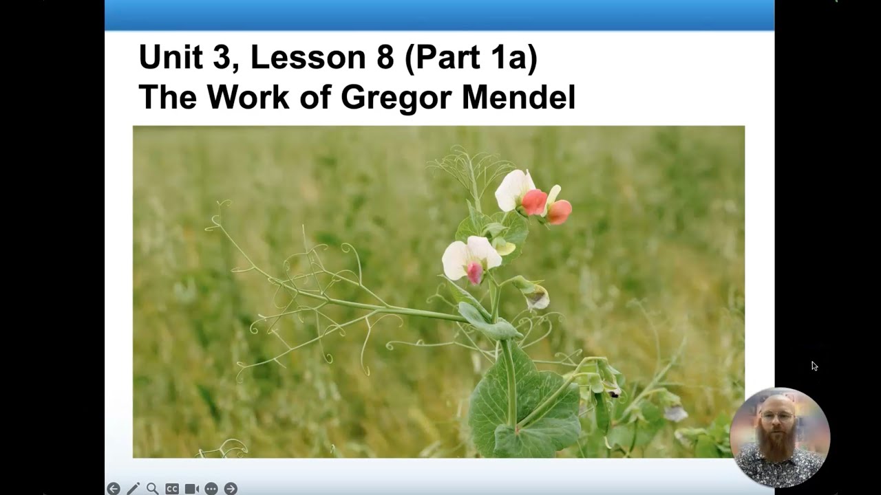 Unit 3, Lesson 8 (Part 1a) Lecture Presentation - YouTube