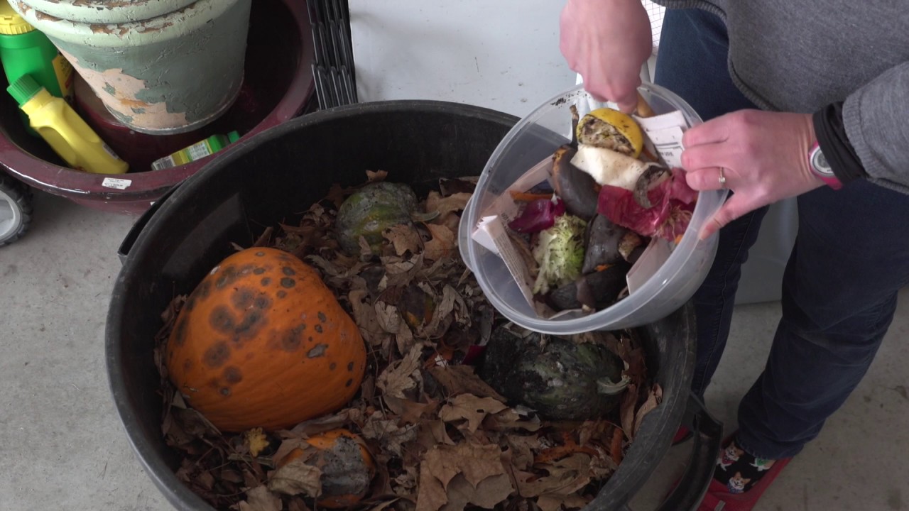Curbside Composting Tips - YouTube