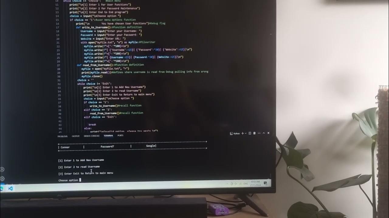 Python debug - YouTube