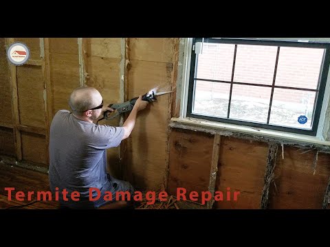 Who Replaces Existing Material Damaged By Termites