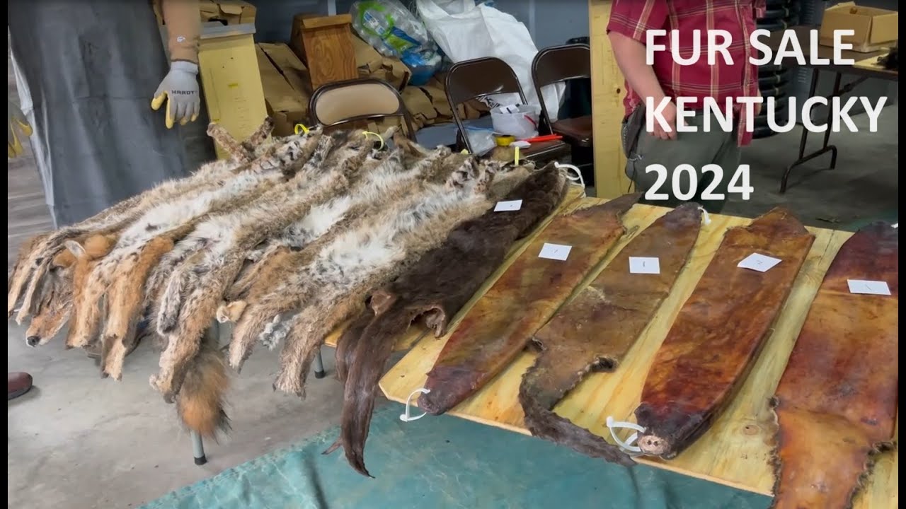Fur Sale Kentucky 2024 - YouTube