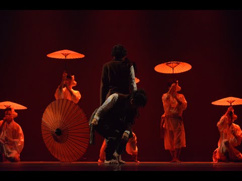 【DAZZLE】サイヒトロイヒ/SAIHI & ROIHI・狐の嫁入り/Sun shower・花ト囮/FLOWER & DECOY”【花ト囮/Misty Mansion】