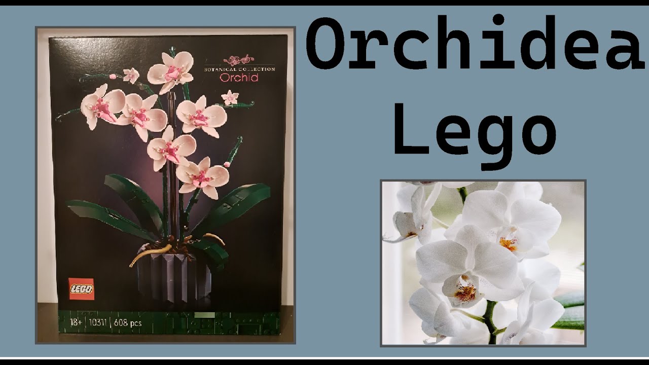 Lego Kolekcja Botaniczna - Orchidea | 10311 - YouTube
