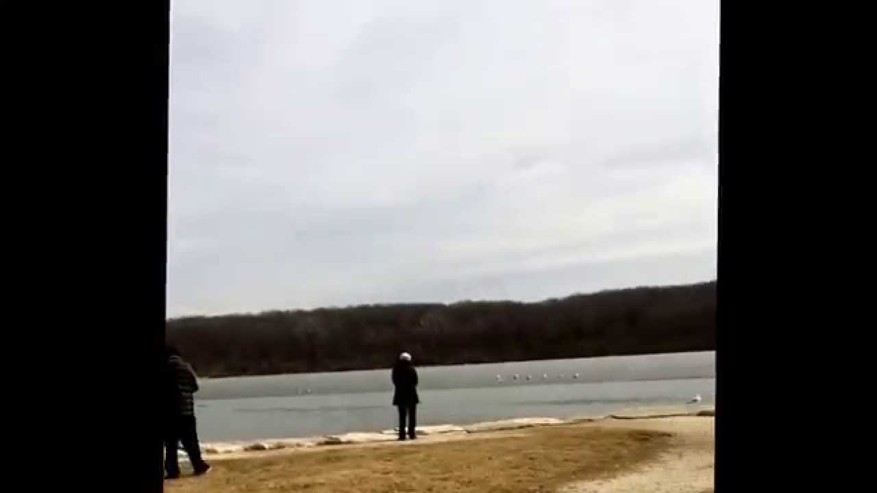 Maple Lake Illinois 4 - YouTube