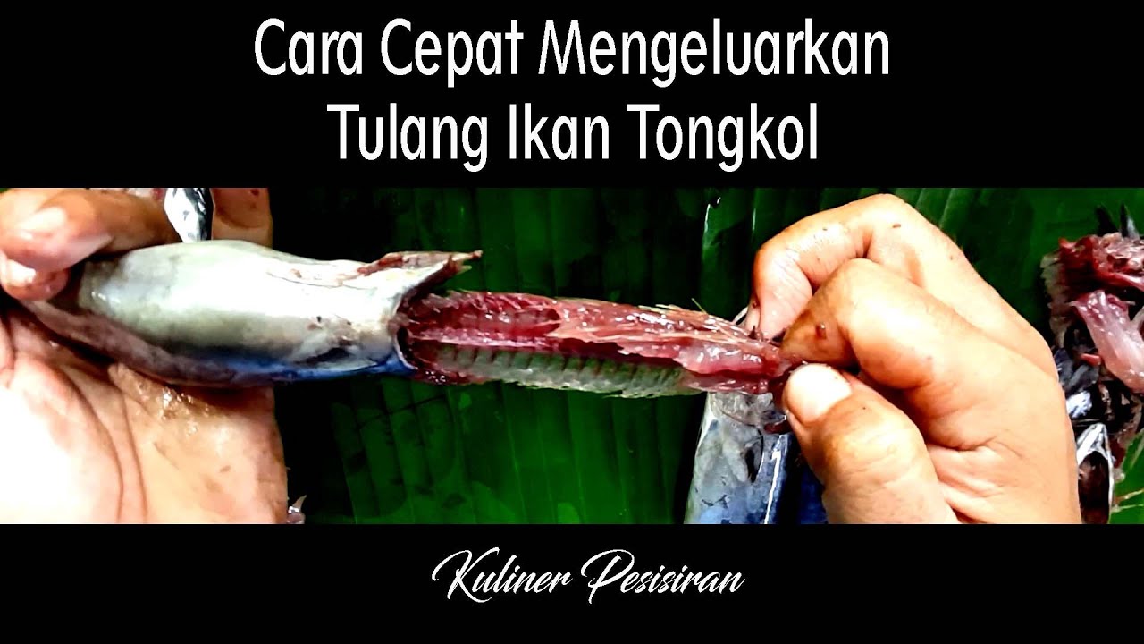 Cara mengeluarkan tulang ikan tongkol tanpa susah - YouTube