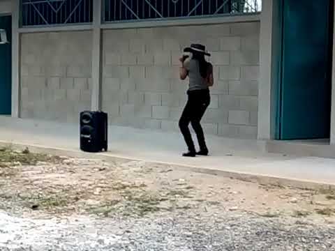 sobrinita