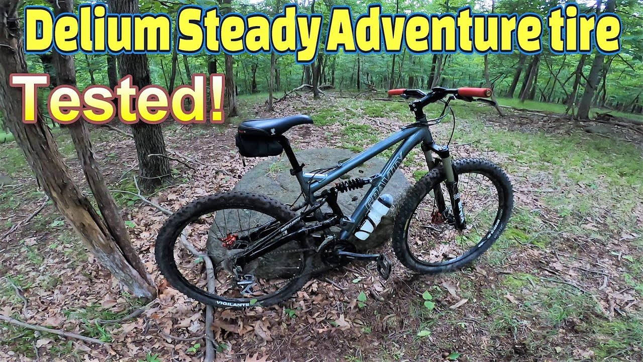 Delium Steady bike tire REVIEW Gravity FSX 1.0 MULLET BIKE BABY! - YouTube