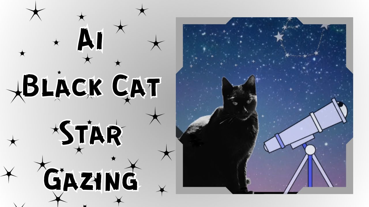 1601) Ai Black Cat Star Gazing 💫 - YouTube