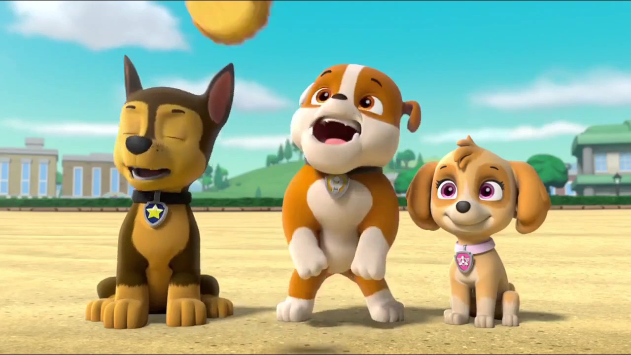 PAW Patrol Season 3 Episode 18 PUPS SAVE A WINDSURFING PIG 07 - YouTube