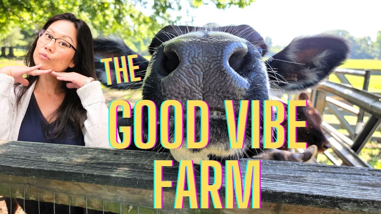 The Good Vibe Farm in Tomball, Texas - YouTube