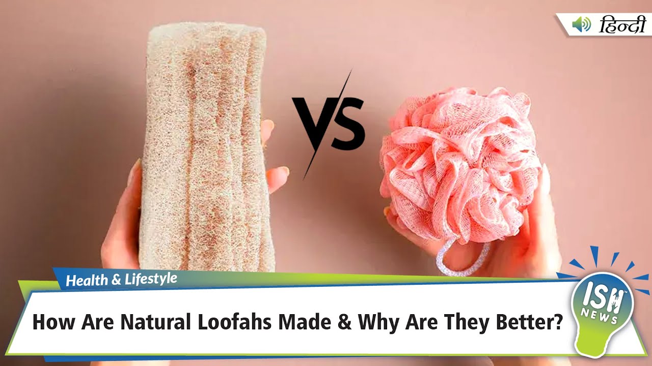 How Are Natural Loofahs Made & Why Are They Better? | ISH News - YouTube