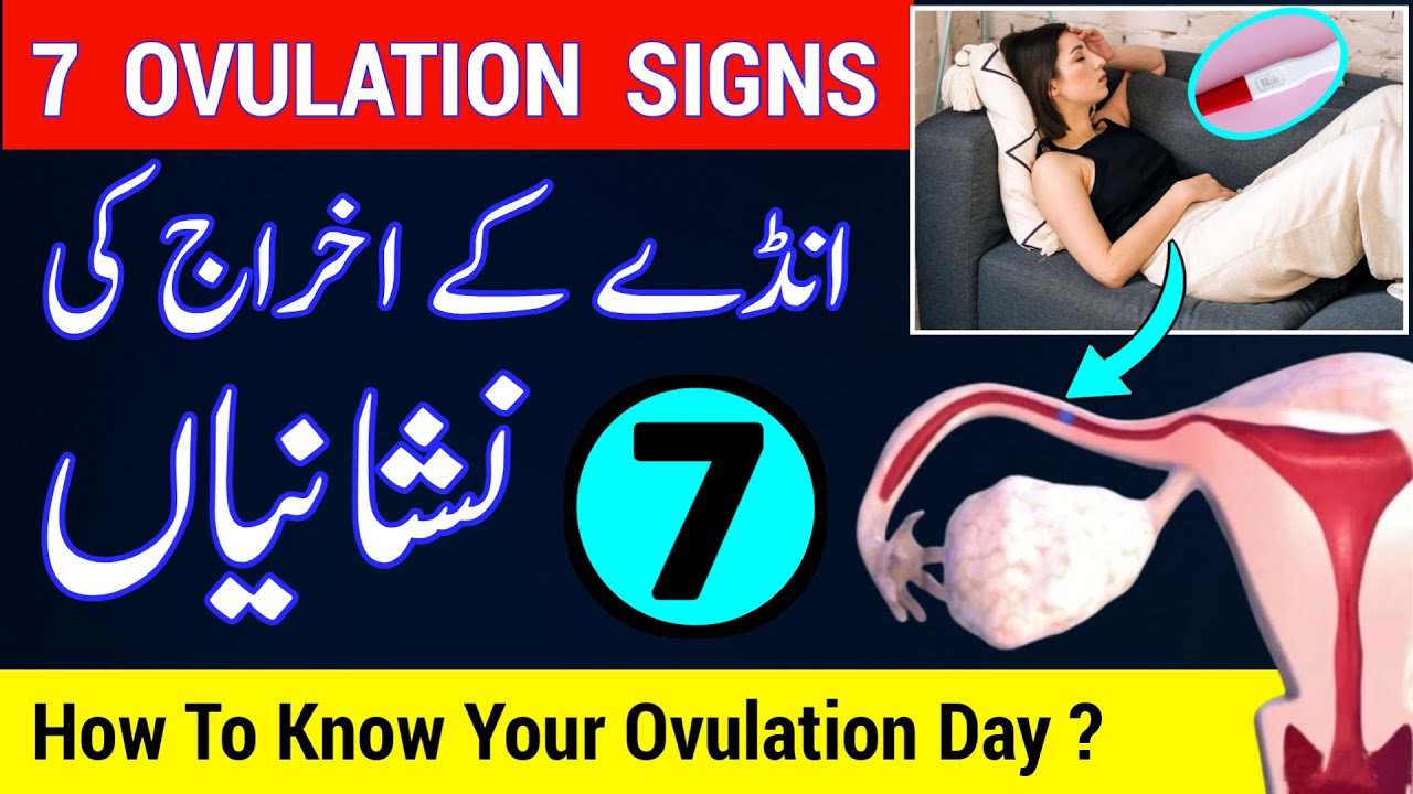 When Trying To Conceive You Must Know 7 Ovulation Signs To Get Pregnant ...