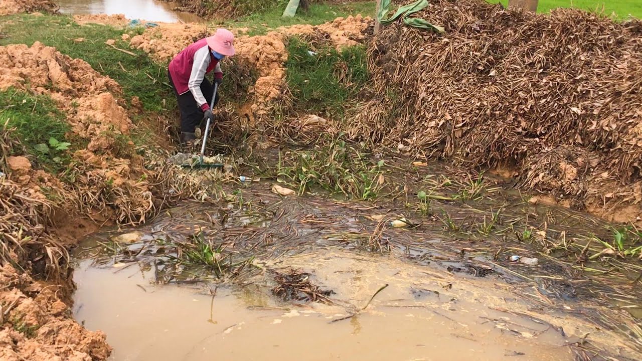 Unclogging Culvert Pipe And Removal Weed Grow Clogged Culvert Drain ...