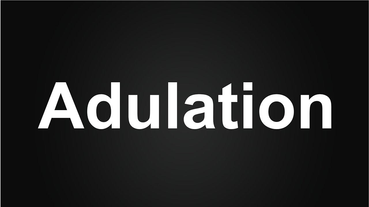 Adulation Meaning in Urdu, How to Say Adulation in English, Adulation ...
