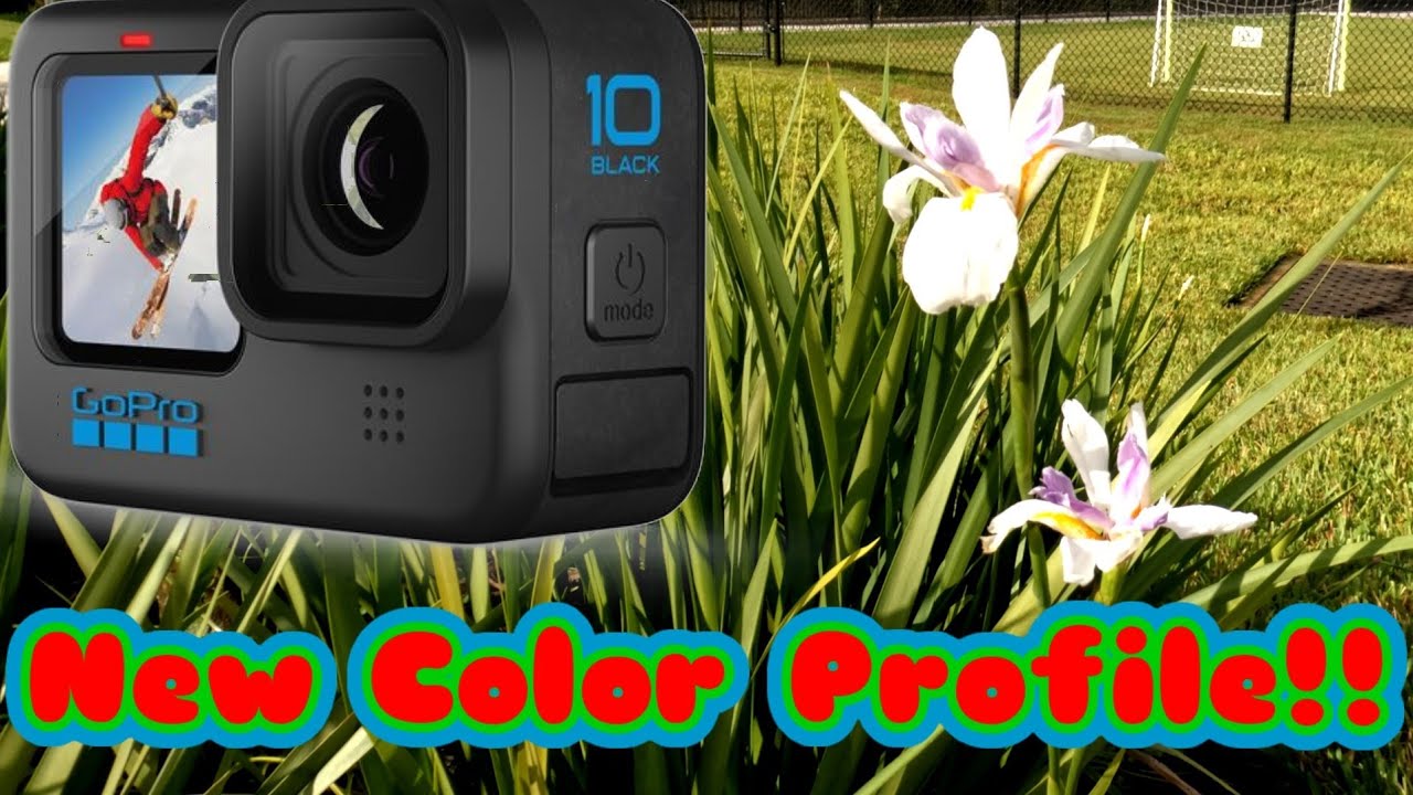 New GoPro Color Profile!!/New Hero10 Black feature! - YouTube