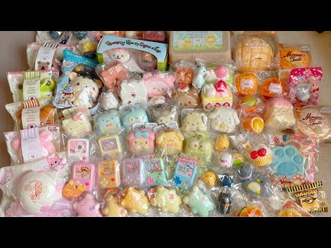 $600 SQUISHY HAUL || ibloom, sanrio, puni maru & more