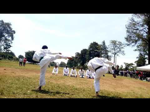 Shotokan karate in kenya. Mmust tamasha 2019 - YouTube