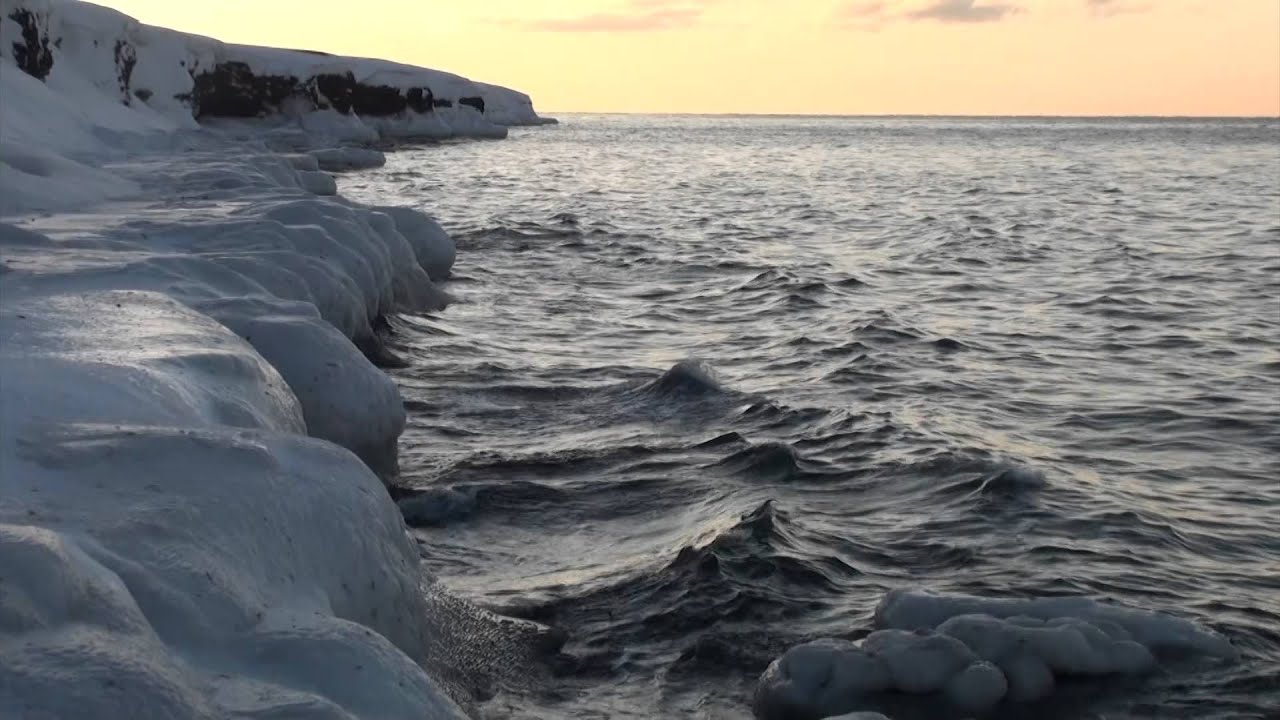 Winter Swimming Expedition-Svalbard 2013 - YouTube