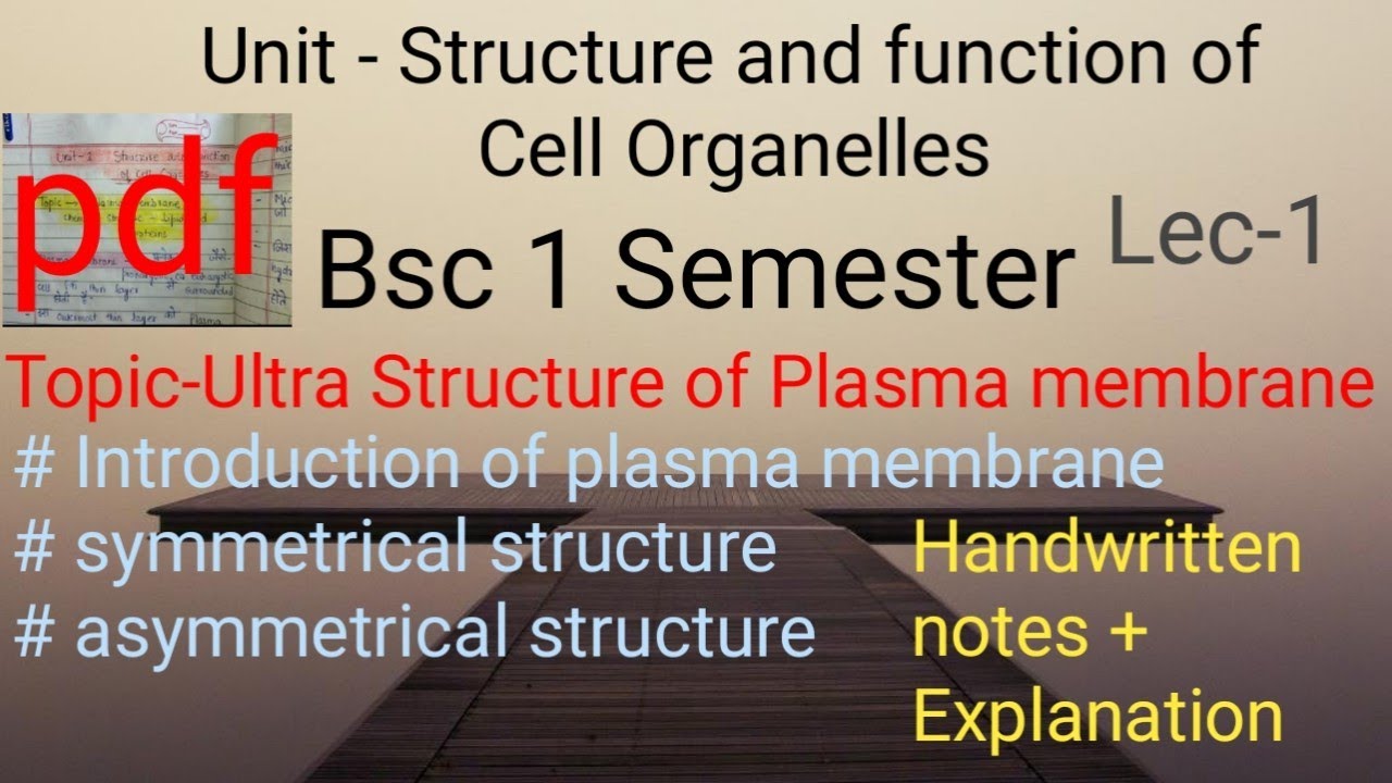 Ultra structure of plasma membrane || symmetrical and asymmetrical ...