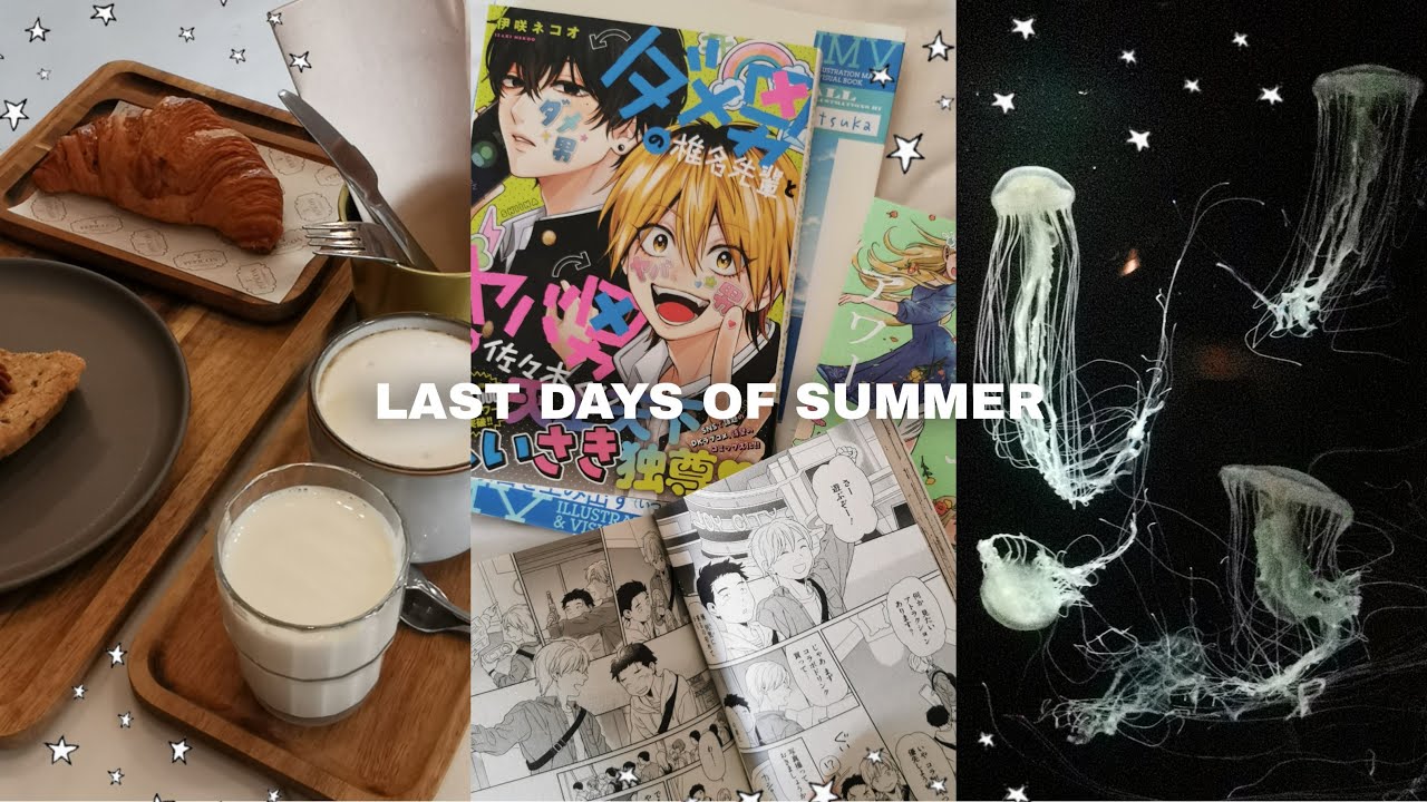 last days of summer 🐡 crookie café ; aquarium ; manga and artbooks ...
