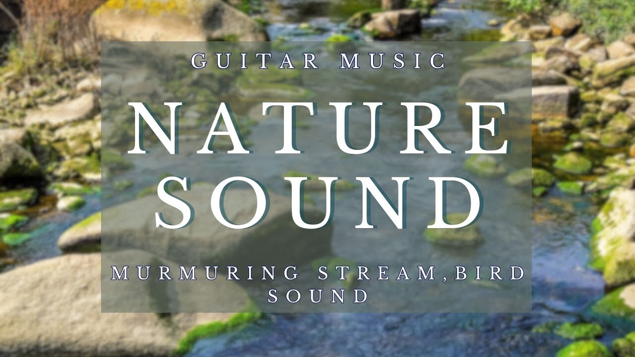 RELAXING MUSIC WITH NATURE SOUNDS - Guitar Music and Relaxing river ...