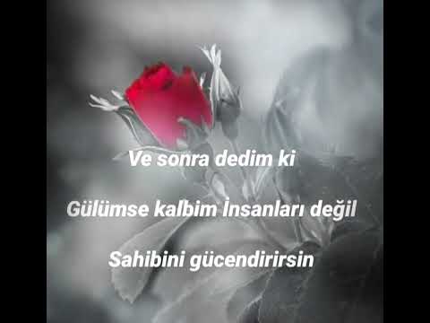 🔥𝑫𝒐𝒍𝒖𝒏𝒂𝒚🔥