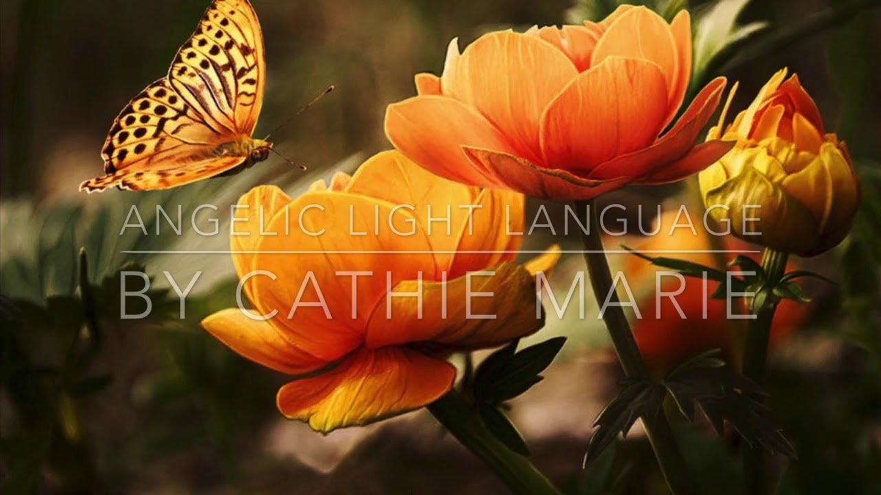 Angelic Light Language ~ Sacred Scripture #64, a message from Master ...