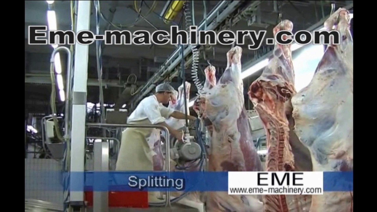 EME Slaughterhouse equipment Half Carcass Band Splitting Saw machine of ...