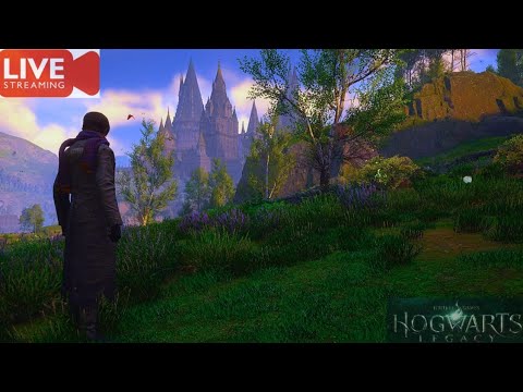 Hogwarts Legacy Live Stream || Returning to Hogwarts || Game addiction || Part Two || - YouTube