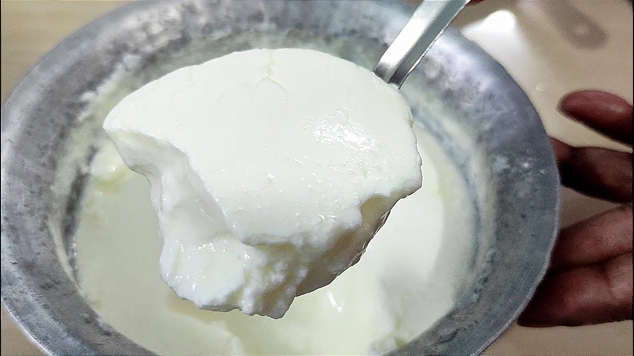 Curd Recipe | How to make OR set Thick Curd from Milk | Ghar par Dahi ...