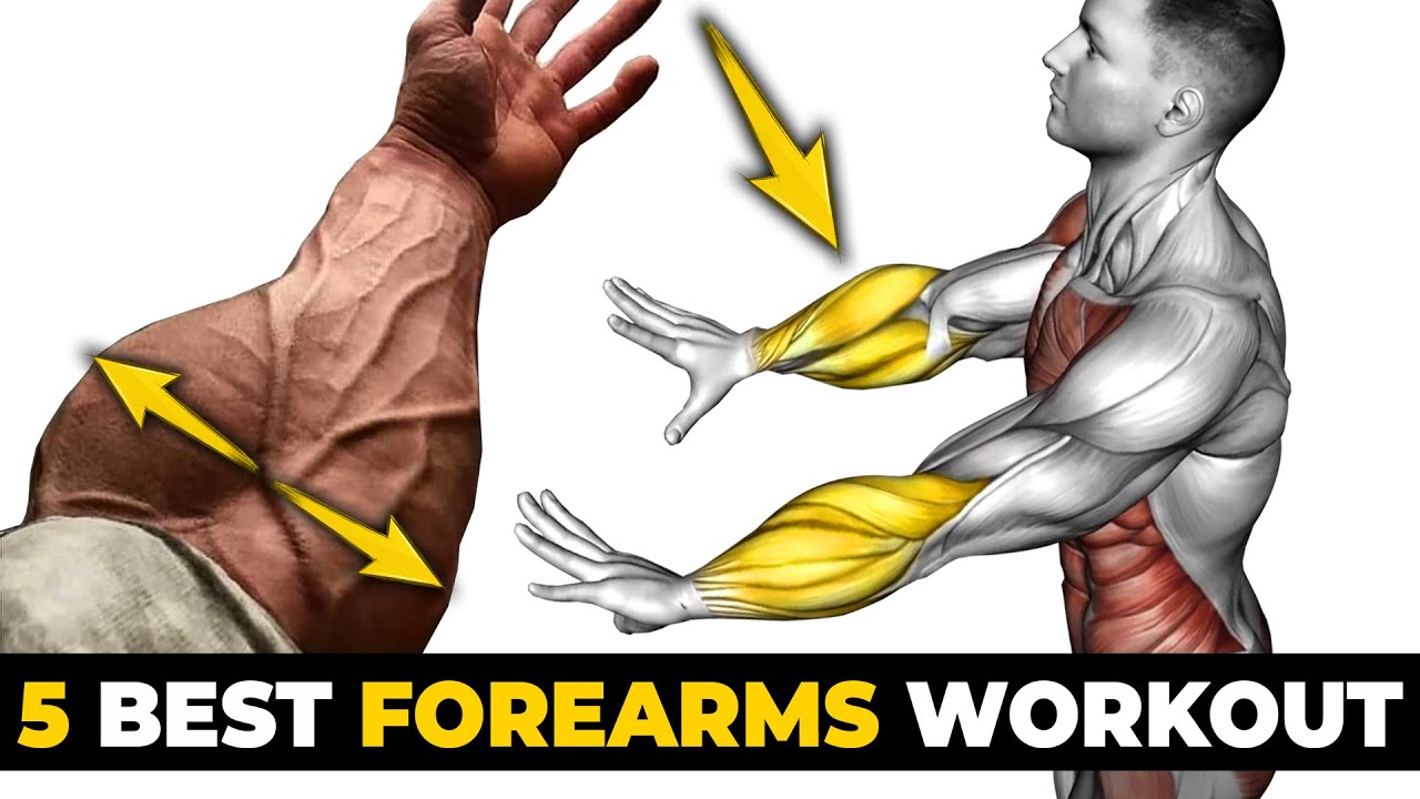 5 BEST Exercises for Bigger Forearms Workout - YouTube