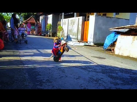 Funny Monkey, Topeng Monyet Lucu Keren