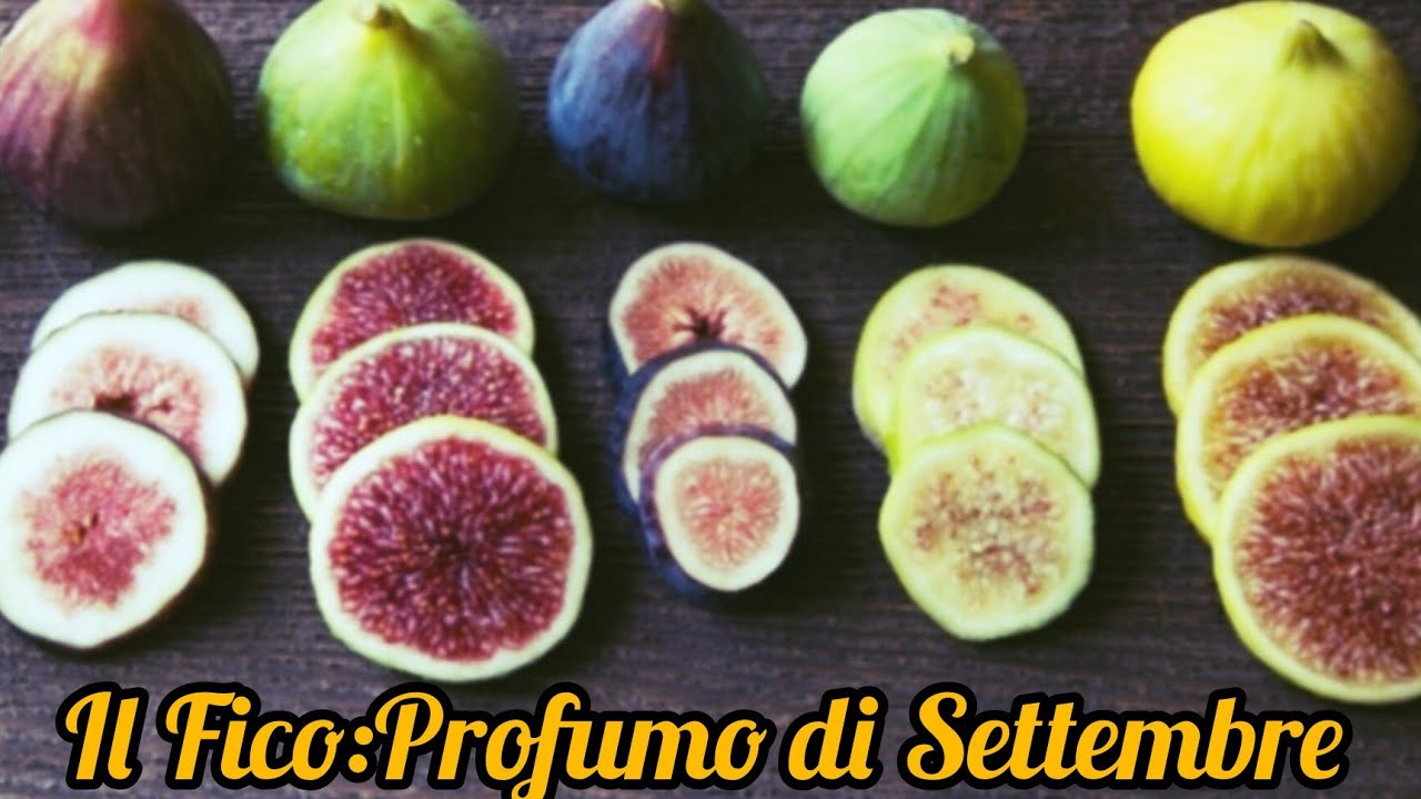 Il Fico: Profumo di Settembre #profumi #profumo #profumidinicchia # ...