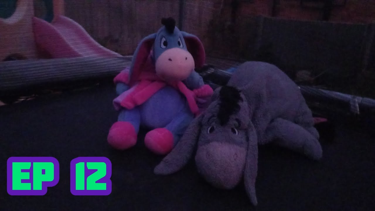 fluffy eeyore and Gary go outside during dusk. ep 12 - YouTube