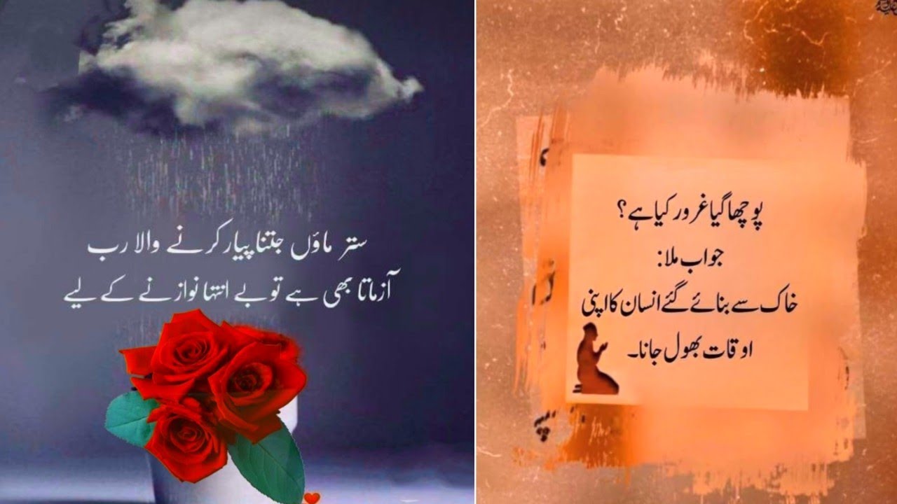 Heart Touching Islamic Quotes||Best Urdu Motivational Poetry||life ...
