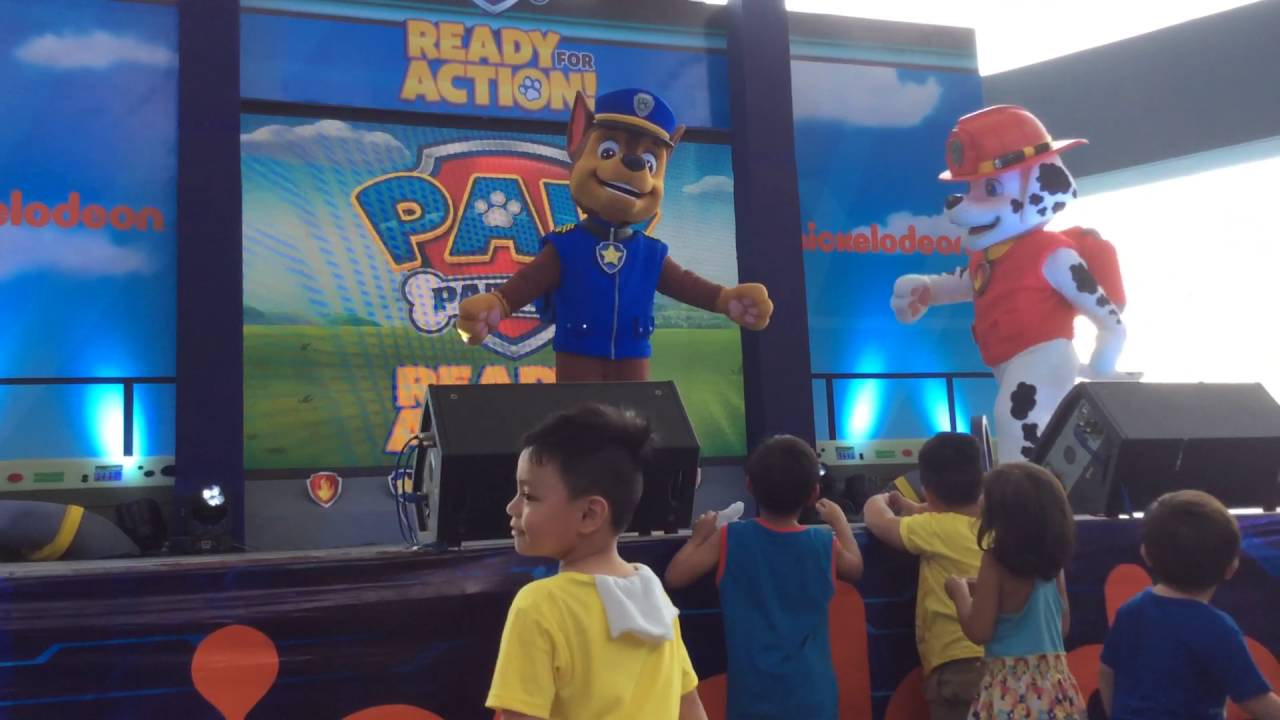 Paw Patrol Chase And Marshall Meet And Greet Youtube