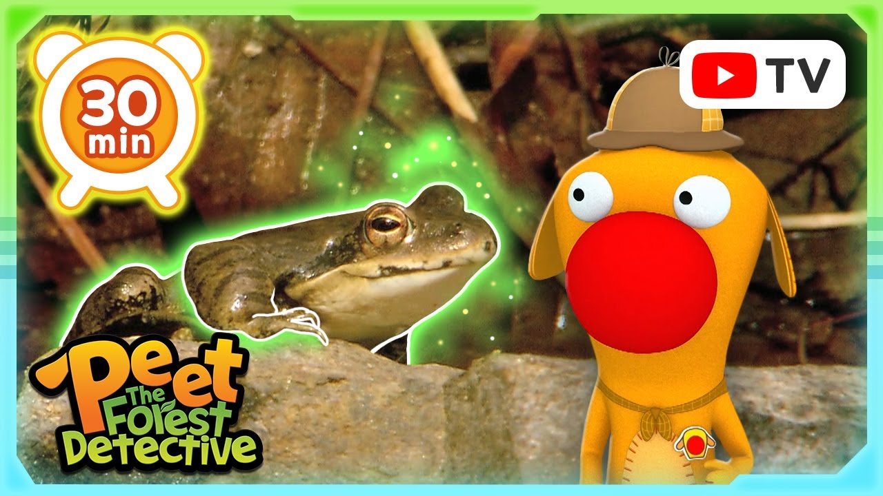 Epic Frog Mystery 🐸🔥 | Animal Stories For Kids | Peet The Forest ...