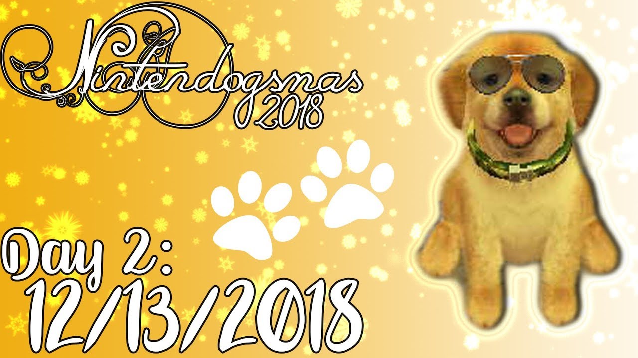 Nintendogsmas #2: 12/13/18: Duke in Nintendogs Cup Disc Competition ...