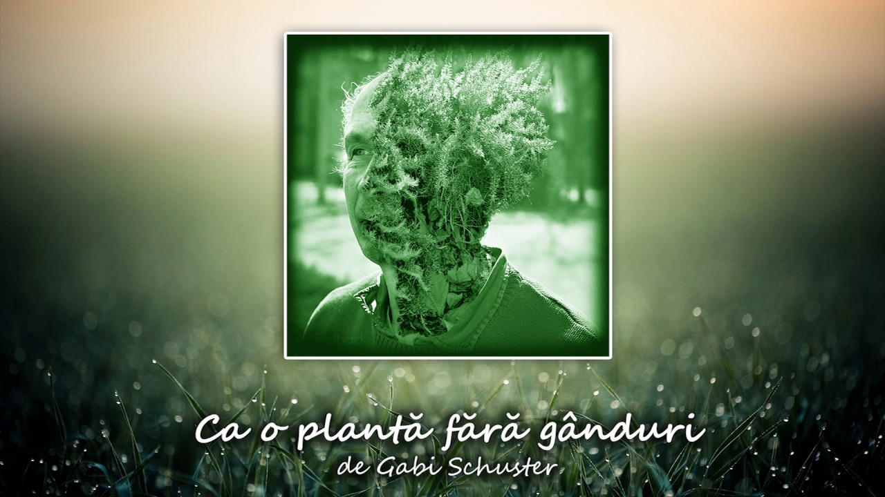 Ca o planta fara ganduri, Gabi Schuster - YouTube