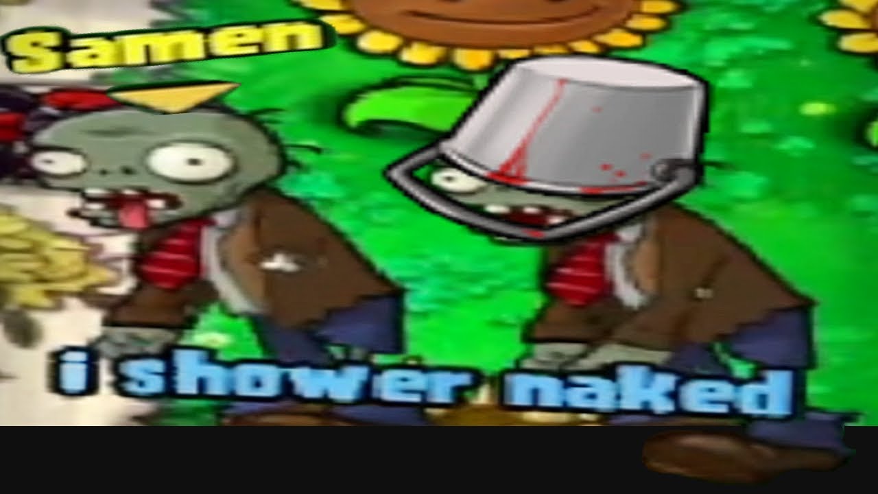 the developer of modded PLants Vs Zombies challenged me to PvZ Versus ...