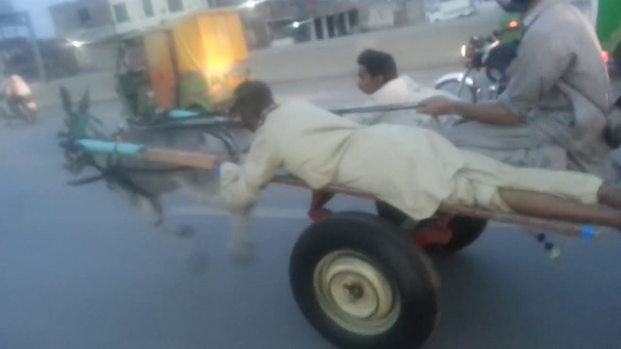 Gadha Gari Race Shahpur Sadar 2022 - YouTube