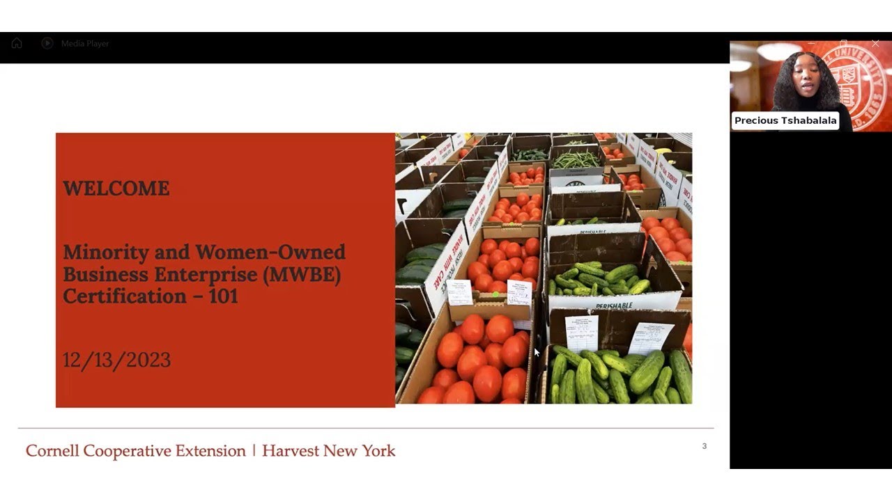 Minority and Women-Owned Business Enterprise (MWBE) Webinar - YouTube