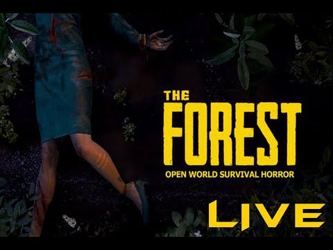 The Forest | LIVE - YouTube