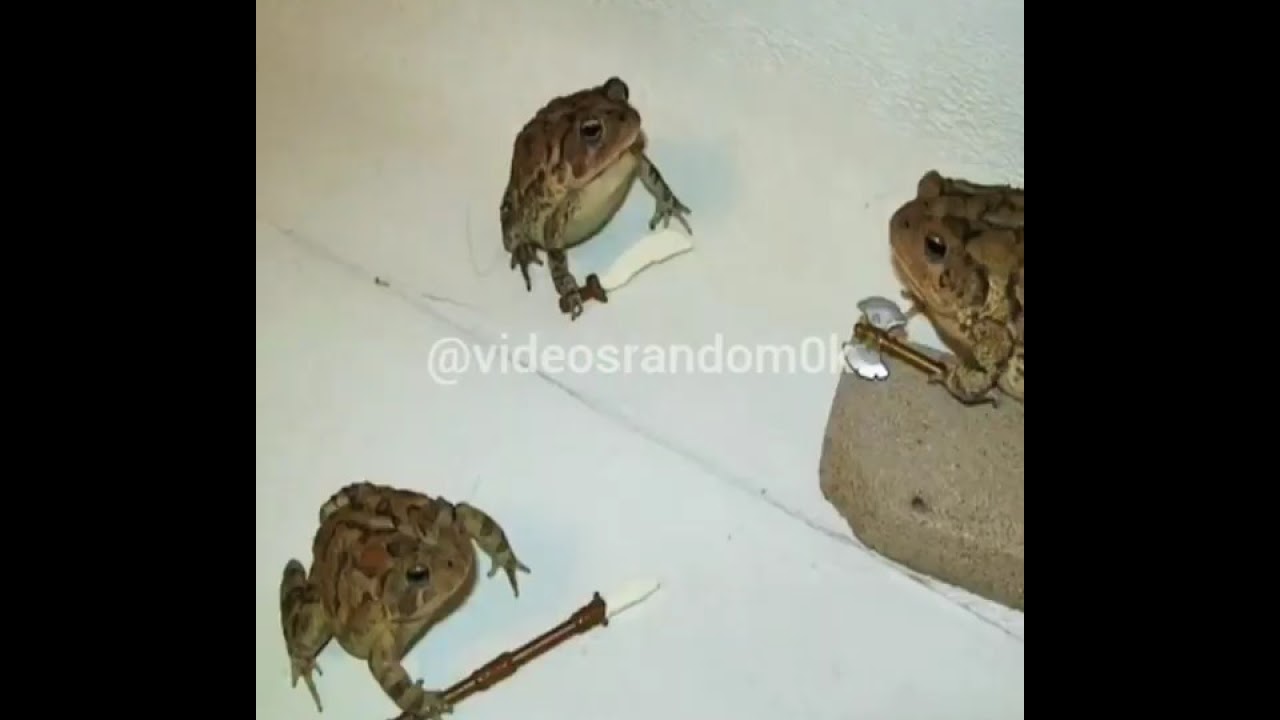 CURSED IMAGES | Bonfire meme Mashup - YouTube